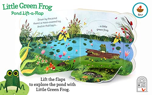 Little Green Frog Chunky Lift-a-Flap Board Book (Babies Love)