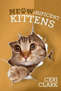 meow-nificent kittens: the secret personal internet address & password log book for kitten & cat lovers (disguised password books)