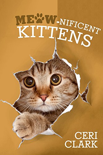 Meow-nificent Kittens: The Secret Personal Internet Address & Password Log Book for Kitten & Cat Lovers (Disguised Password Books)