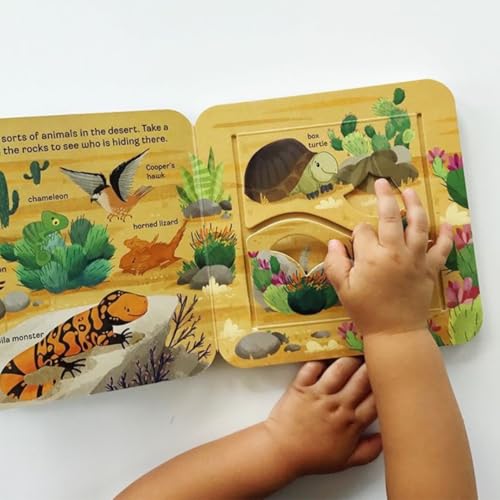 Zoo: Peek-a-Flap Board Book