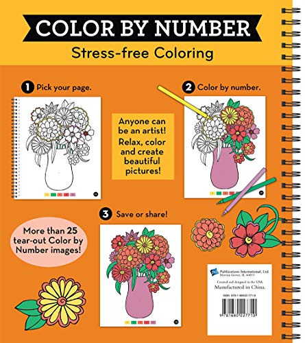 Brain Games - Color by Number: Stress-Free Coloring (Orange)