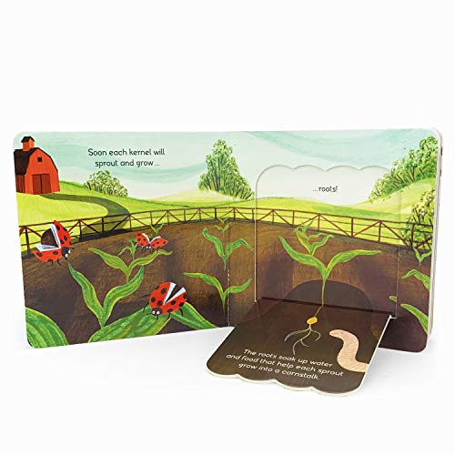 Plant & Grow (John Deere Lift-A-Flap Board Book)