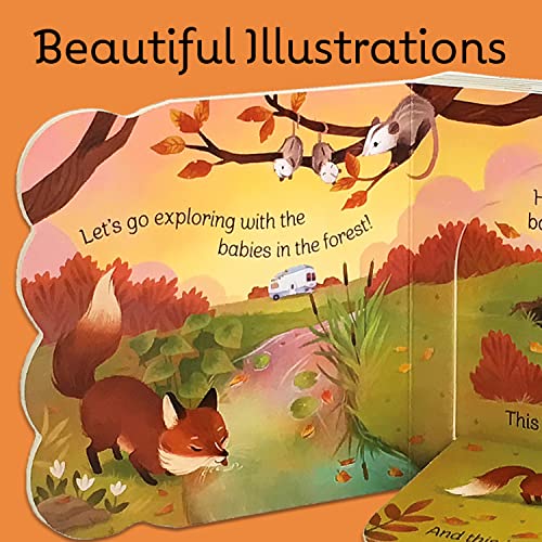 Babies in the Forest- A Lift-a-Flap Board Book for Babies and Toddlers, Ages 1-4 (Chunky Lift-A-Flap Board Book)