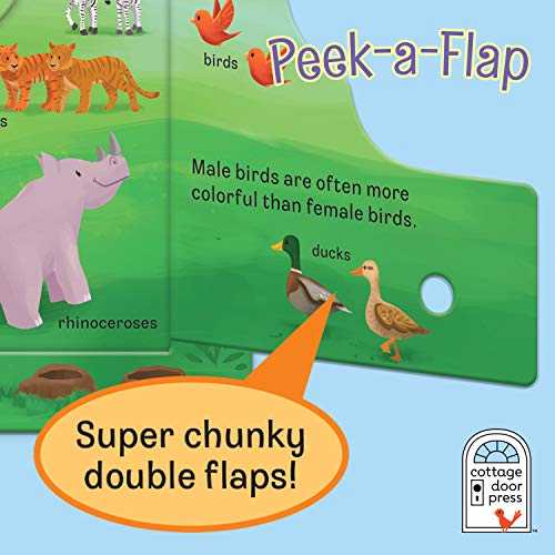 Peek-a-Flap Noah - Children's Lift-a-Flap Board Book Gift for Easter, Christmas, Communion, Baptism (Little Sunbeams)