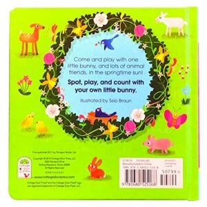 One LIttle Bunny: A Counting Playbook - Children's Board Book Gifts for Easter Baskets and Springtime Fun, Ages 1-5