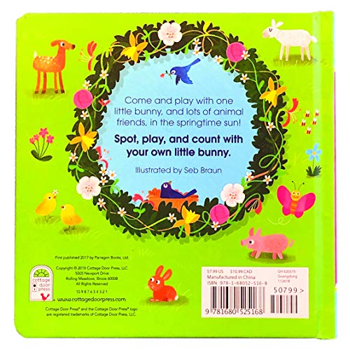 One LIttle Bunny: A Counting Playbook - Children's Board Book Gifts for Easter Baskets and Springtime Fun, Ages 1-5