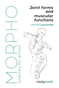 morpho: joint forms and muscular functions: anatomy for artists (morpho: anatomy for artists, 6)