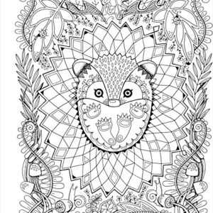 Color & Frame - In the Forest (Adult Coloring Book)