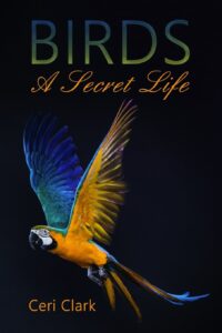 birds a secret life: a disguised password book and personal internet address log for bird lovers (disguised password books)