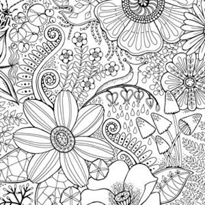 Color & Frame - In the Forest (Adult Coloring Book)