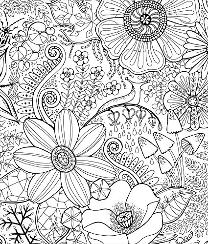 Color & Frame - In the Forest (Adult Coloring Book)