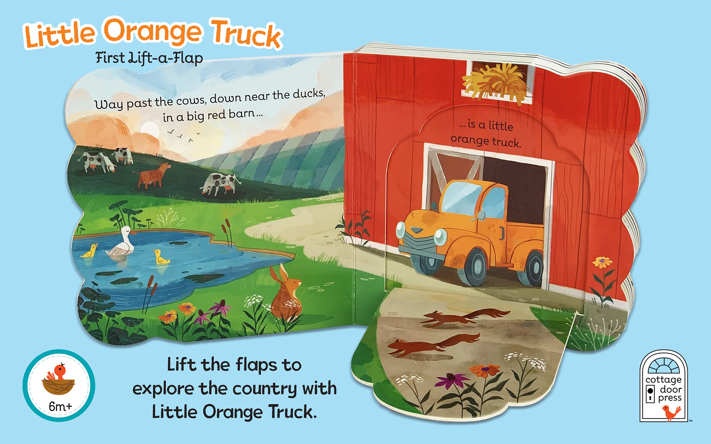 Little Orange Truck (Chunky Lift-a-flap Board Book)