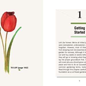 Flower Gardening for Beginners: A Guide to Growing and Maintaining a Cut-Flower Garden