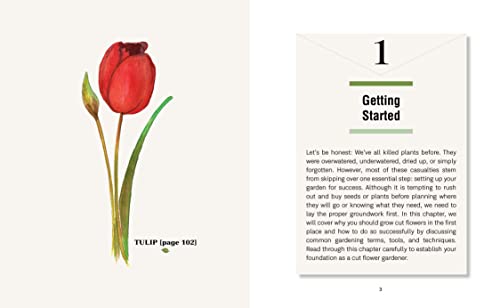 Flower Gardening for Beginners: A Guide to Growing and Maintaining a Cut-Flower Garden