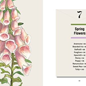 Flower Gardening for Beginners: A Guide to Growing and Maintaining a Cut-Flower Garden