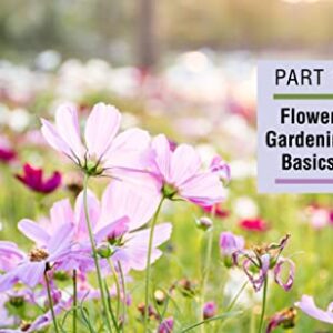 Flower Gardening for Beginners: A Guide to Growing and Maintaining a Cut-Flower Garden