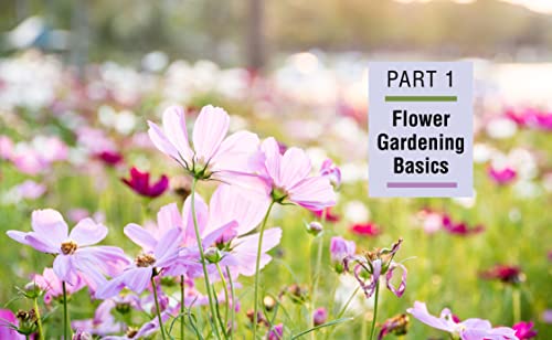 Flower Gardening for Beginners: A Guide to Growing and Maintaining a Cut-Flower Garden