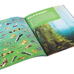 Discovery Real Life Sticker Book: Ocean (Discovery Real Life Sticker Books)