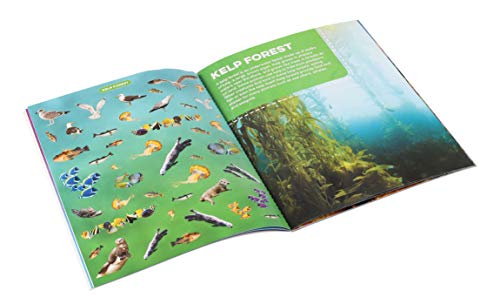 Discovery Real Life Sticker Book: Ocean (Discovery Real Life Sticker Books)