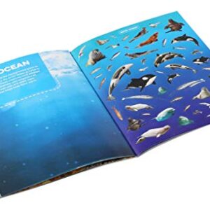 Discovery Real Life Sticker Book: Ocean (Discovery Real Life Sticker Books)