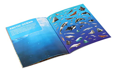 Discovery Real Life Sticker Book: Ocean (Discovery Real Life Sticker Books)