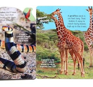 Discovery: Roar at the Zoo! (10-Button Sound Books) (Image on Book may slightly vary)