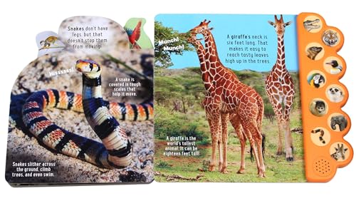 Discovery: Roar at the Zoo! (10-Button Sound Books) (Image on Book may slightly vary)