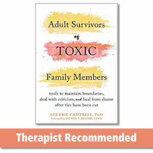 adult survivors of toxic family members: tools to maintain boundaries, deal with criticism, and heal from shame after ties have been cut