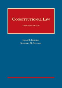 constitutional law (university casebook series)