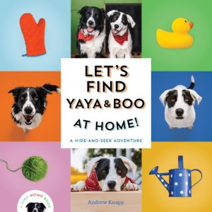 let's find yaya and boo at home!: a hide-and-seek adventure (find momo)