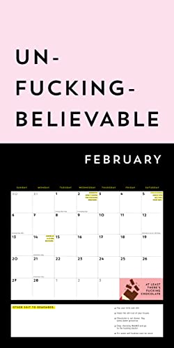 A F*cking 2022 Wall Calendar: Get Your Sh*t Together This Year - Includes Stickers! (Funny Monthly Calendar, White Elephant Gag Gift for Adults) (Calendars & Gifts to Swear By)