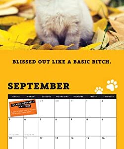 2023 Too F*cking Cute Cats Wall Calendar: A Year of D*mn Adorable Kitties (Funny Monthly Calendar & White Elephant Gag Gift for Cat Lovers)