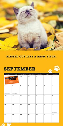 2023 Too F*cking Cute Cats Wall Calendar: A Year of D*mn Adorable Kitties (Funny Monthly Calendar & White Elephant Gag Gift for Cat Lovers)