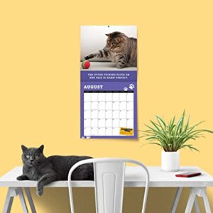 2023 Too F*cking Cute Cats Wall Calendar: A Year of D*mn Adorable Kitties (Funny Monthly Calendar & White Elephant Gag Gift for Cat Lovers)