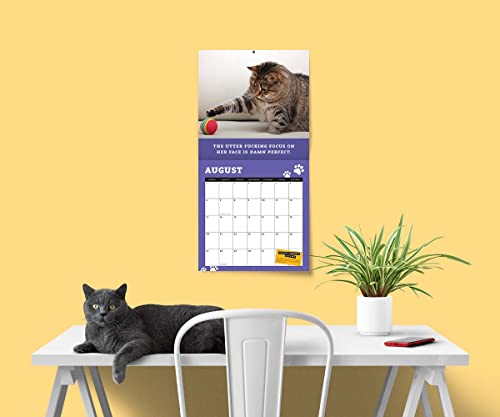 2023 Too F*cking Cute Cats Wall Calendar: A Year of D*mn Adorable Kitties (Funny Monthly Calendar & White Elephant Gag Gift for Cat Lovers)