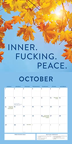 2023 Chill the F*ck Out Wall Calendar: Find Calm and Get a Fresh F*cking Start This Year (Funny 12-Month Calendar, White Elephant Gag Gift for Adults)