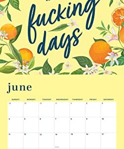 2023 She Believed She Could So She F*cking Did Wall Calendar: Get Sh*t Done & Keep Persisting (Inspiring Monthly Calendar, White Elephant Gag Gift)