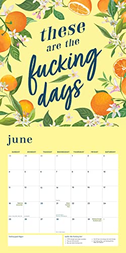 2023 She Believed She Could So She F*cking Did Wall Calendar: Get Sh*t Done & Keep Persisting (Inspiring Monthly Calendar, White Elephant Gag Gift)