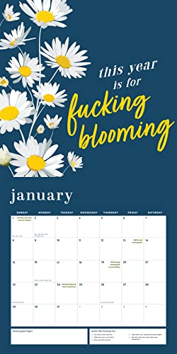 2023 She Believed She Could So She F*cking Did Wall Calendar: Get Sh*t Done & Keep Persisting (Inspiring Monthly Calendar, White Elephant Gag Gift)