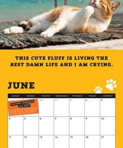 2023 Too F*cking Cute Cats Wall Calendar: A Year of D*mn Adorable Kitties (Funny Monthly Calendar & White Elephant Gag Gift for Cat Lovers)