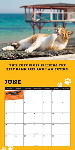 2023 Too F*cking Cute Cats Wall Calendar: A Year of D*mn Adorable Kitties (Funny Monthly Calendar & White Elephant Gag Gift for Cat Lovers)