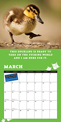 2023 Too F*cking Cute Animals Wall Calendar: A Year of D*mn Adorable Animals (Funny Monthly Calendar & White Elephant Gag Gift for Animal Lovers)