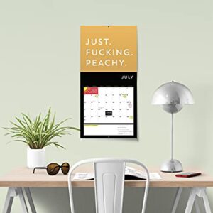 A F*cking 2022 Wall Calendar: Get Your Sh*t Together This Year - Includes Stickers! (Funny Monthly Calendar, White Elephant Gag Gift for Adults) (Calendars & Gifts to Swear By)