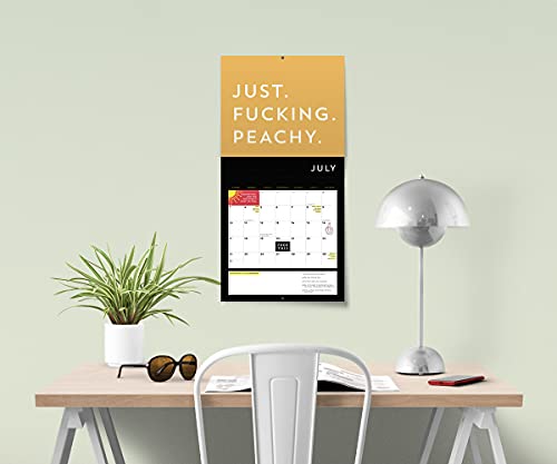 A F*cking 2022 Wall Calendar: Get Your Sh*t Together This Year - Includes Stickers! (Funny Monthly Calendar, White Elephant Gag Gift for Adults) (Calendars & Gifts to Swear By)