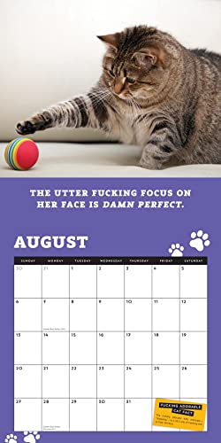 2023 Too F*cking Cute Cats Wall Calendar: A Year of D*mn Adorable Kitties (Funny Monthly Calendar & White Elephant Gag Gift for Cat Lovers)