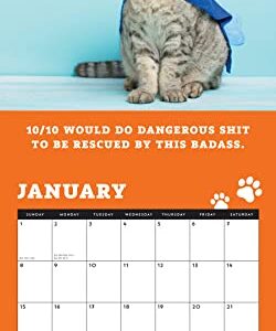 2023 Too F*cking Cute Cats Wall Calendar: A Year of D*mn Adorable Kitties (Funny Monthly Calendar & White Elephant Gag Gift for Cat Lovers)