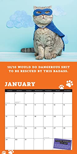 2023 Too F*cking Cute Cats Wall Calendar: A Year of D*mn Adorable Kitties (Funny Monthly Calendar & White Elephant Gag Gift for Cat Lovers)