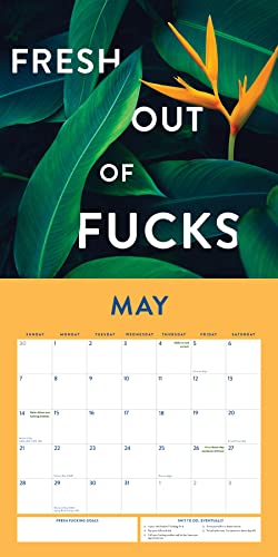 2023 Chill the F*ck Out Wall Calendar: Find Calm and Get a Fresh F*cking Start This Year (Funny 12-Month Calendar, White Elephant Gag Gift for Adults)