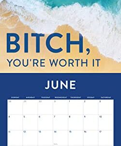 2023 Chill the F*ck Out Wall Calendar: Find Calm and Get a Fresh F*cking Start This Year (Funny 12-Month Calendar, White Elephant Gag Gift for Adults)