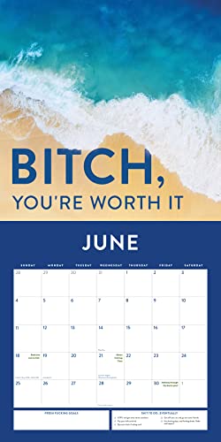 2023 Chill the F*ck Out Wall Calendar: Find Calm and Get a Fresh F*cking Start This Year (Funny 12-Month Calendar, White Elephant Gag Gift for Adults)